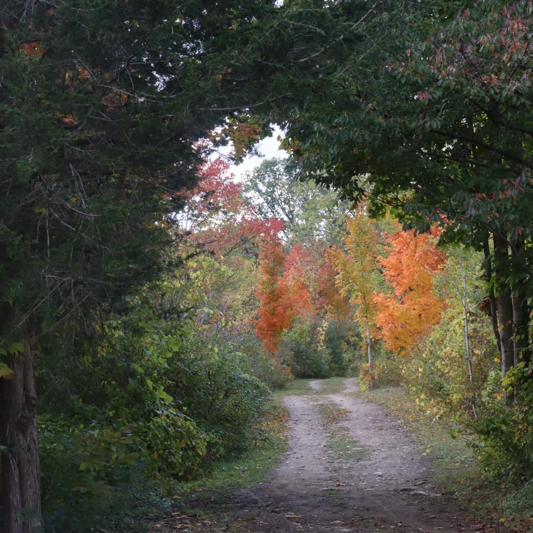 Auburn Riverside Retreat