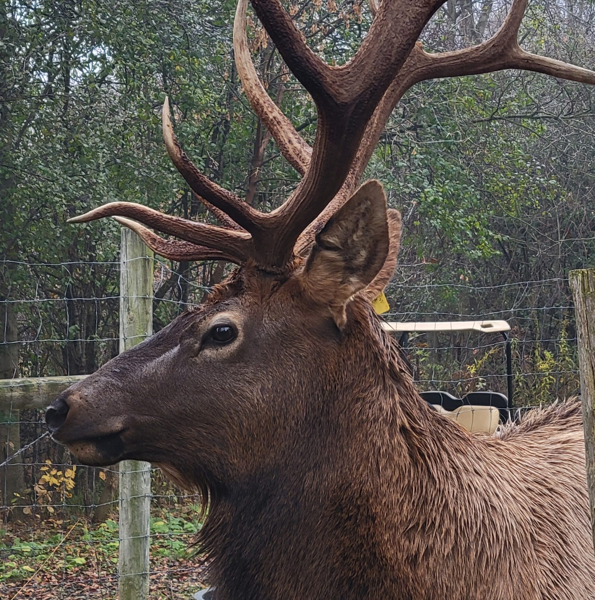 Auburn Riverside Retreat